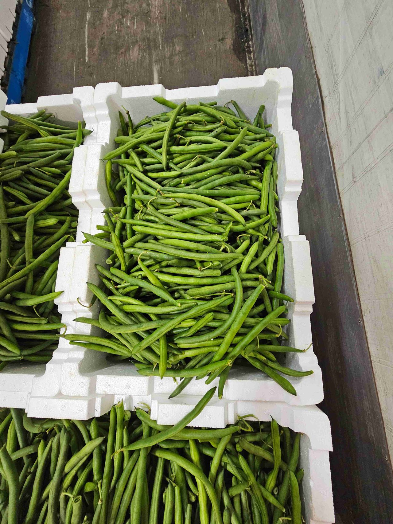 Refresh:Food - Machine Picked Beans