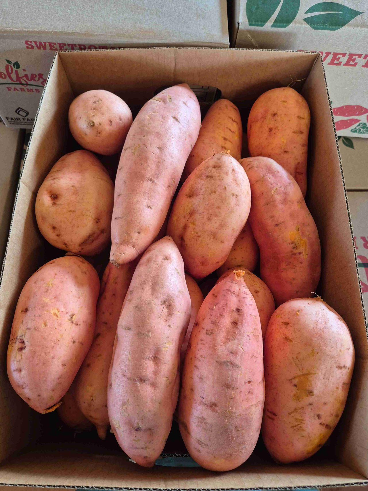 Refresh:Food - Bellevue Sweet Potatoes