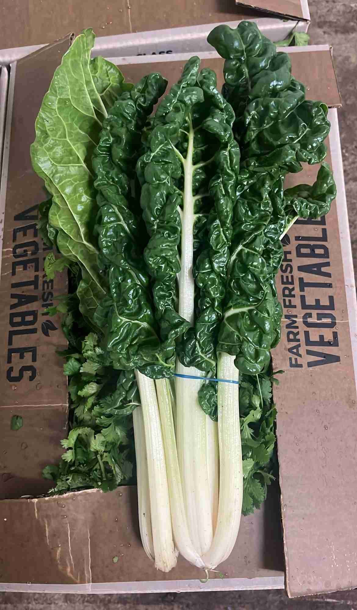 Refresh:Food - White Silverbeet
