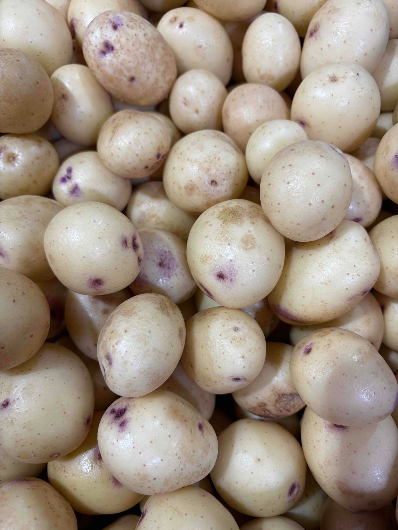 Refresh:Food - Kestrel Potatoes