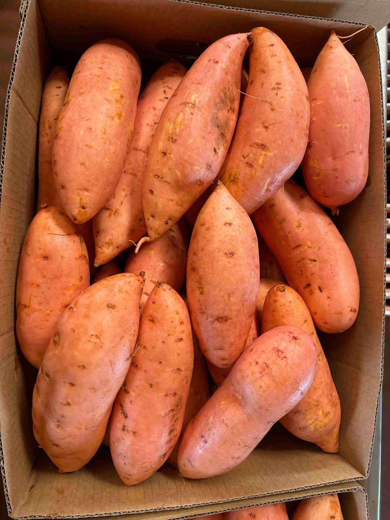 Refresh:Food - Bellevue Sweet Potatoes