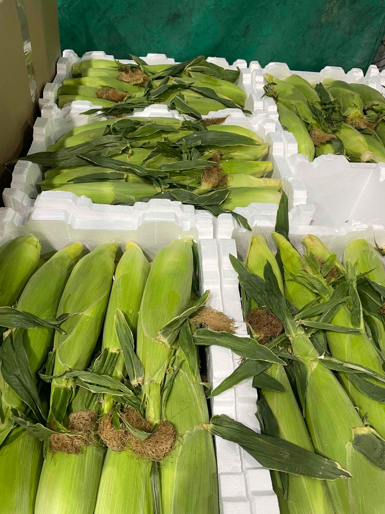 Refresh:Food - Sweet Corn