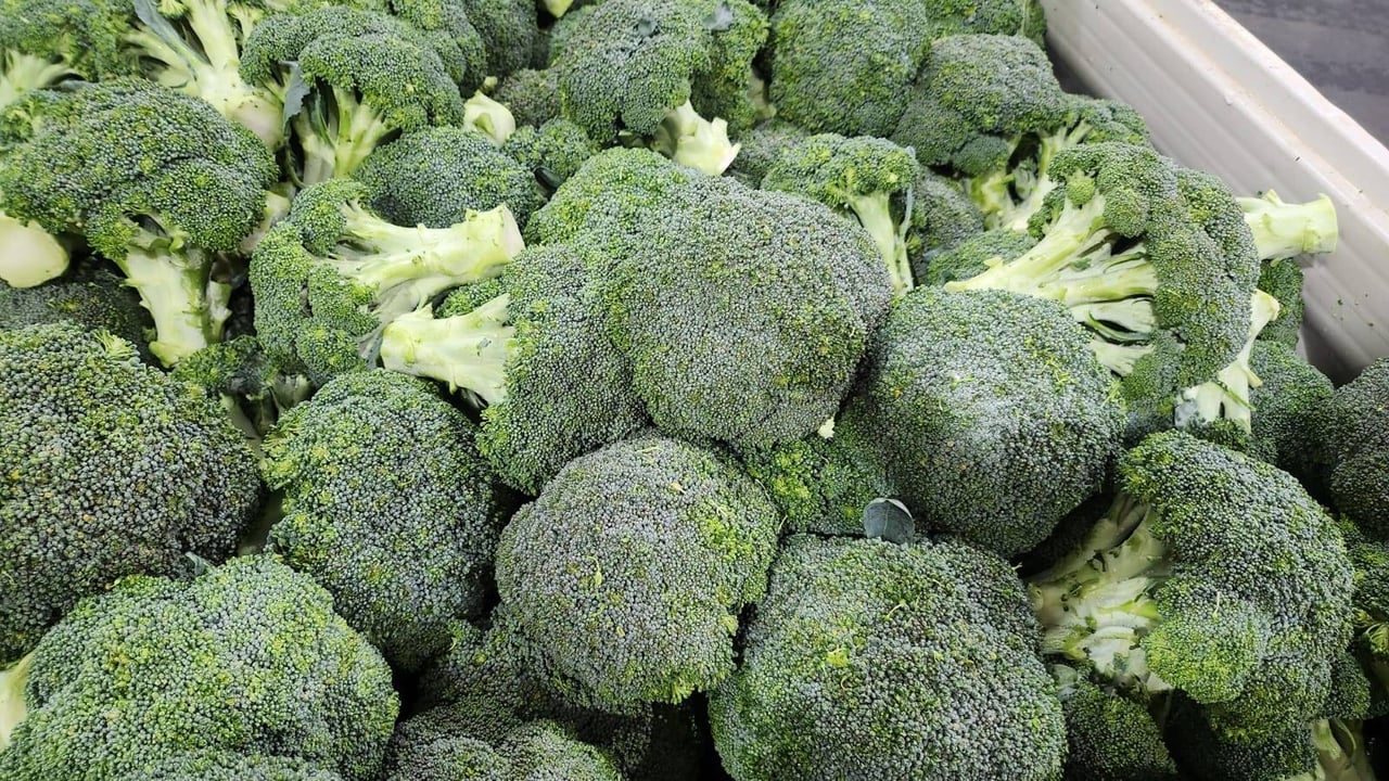 Refresh:Food - Calabrese Broccoli