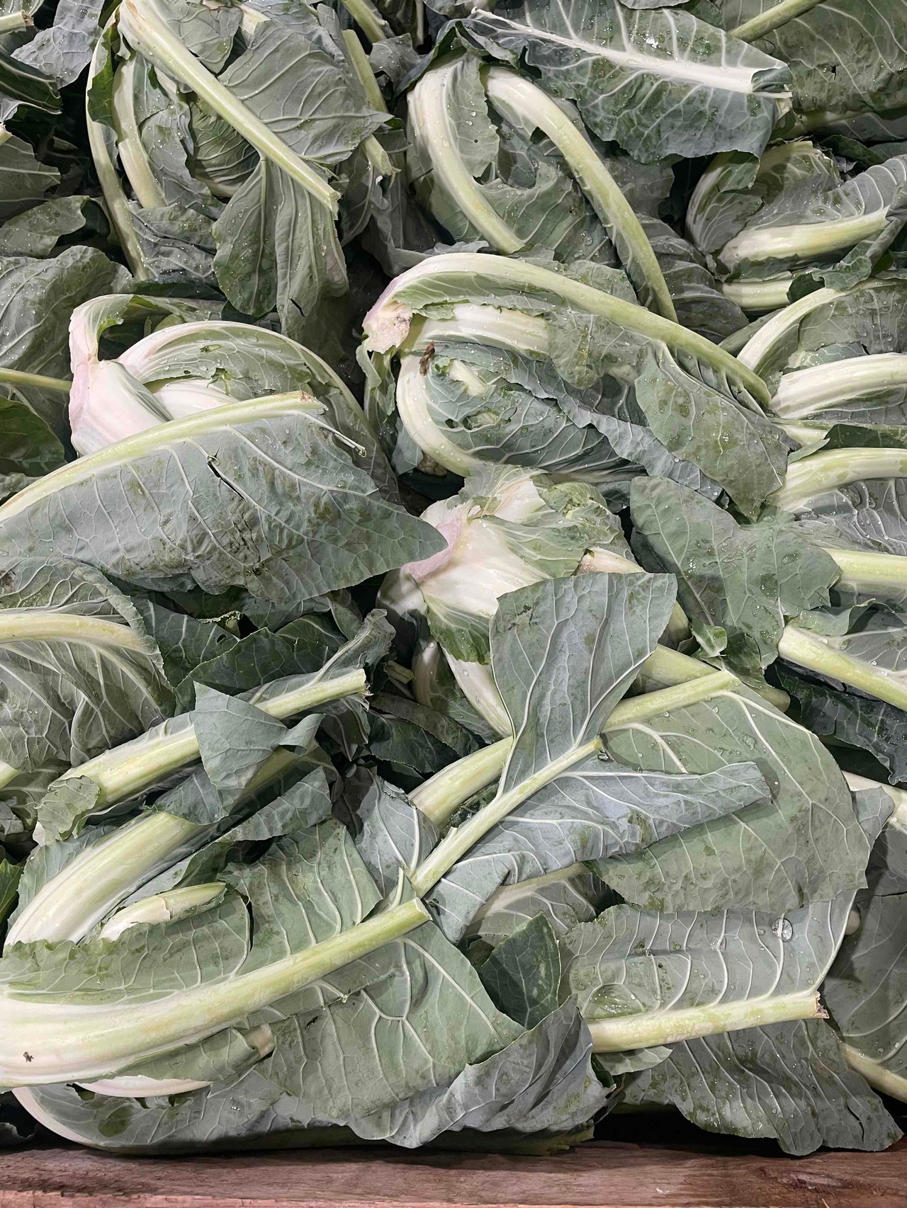 Refresh:Food - White Cauliflower