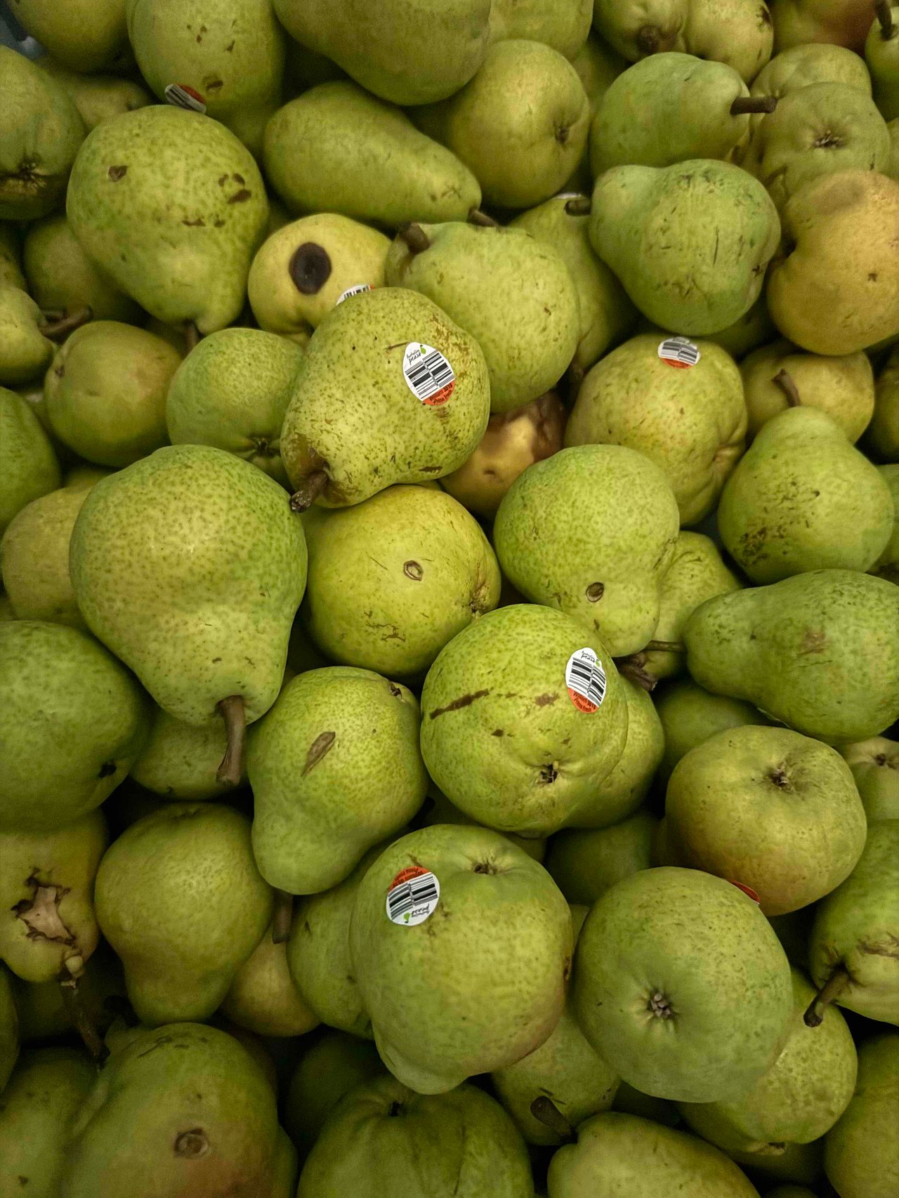 Refresh:Food - Williams Pear