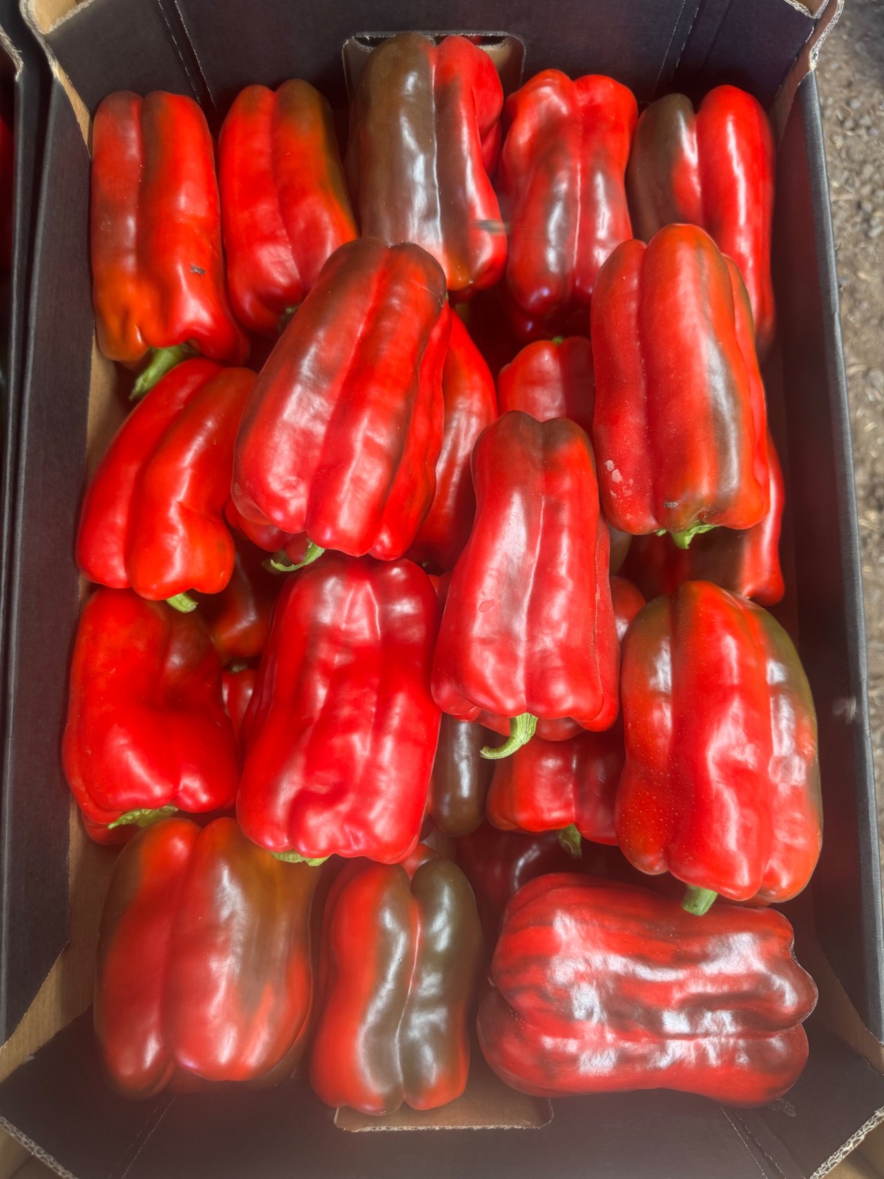 Refresh:Food - Red Capsicum