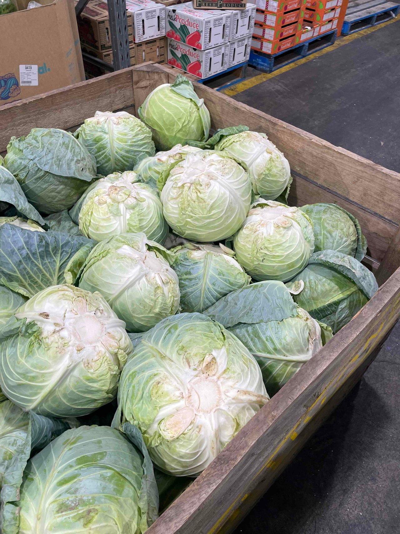 Refresh:Food - Green Cabbage