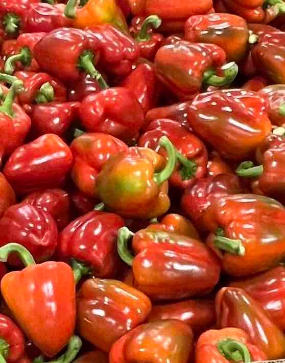 Refresh:Food - Red Capsicum